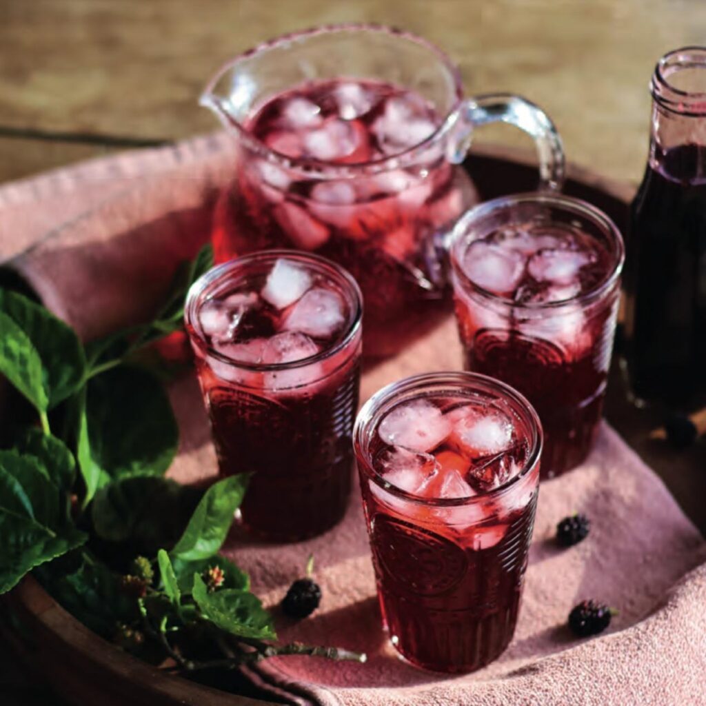 Mulberry cordial | Nourish plant-based living