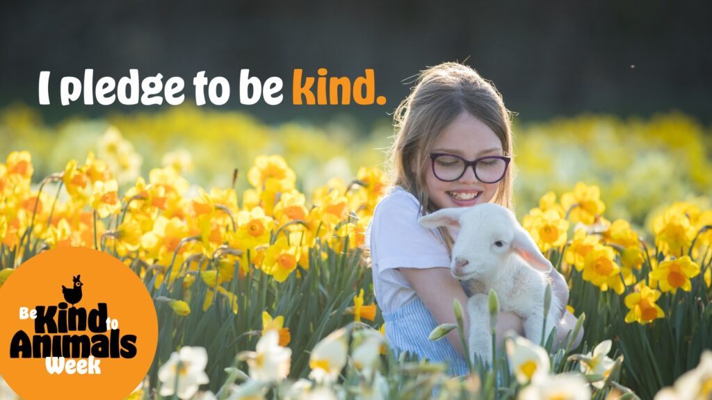 Four reasons to take the kindness pledge today! - Nourish plant-based ...