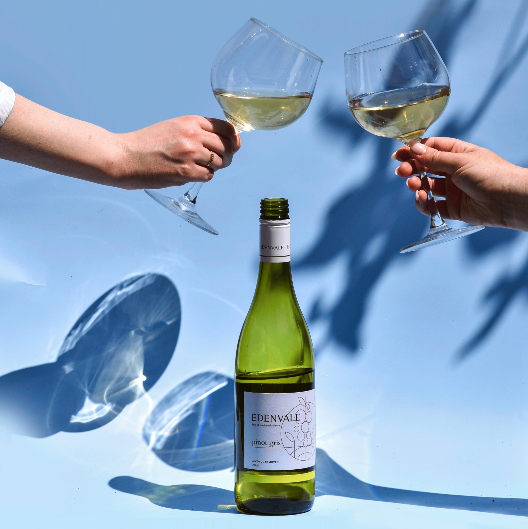 Tips for being the non-drinker at the party - Nourish plant-based living